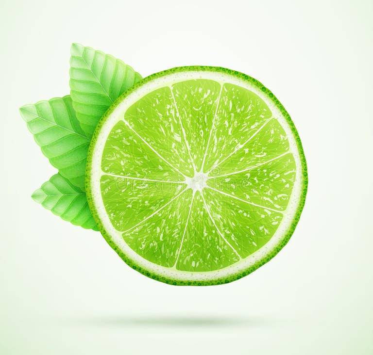 Lime Vector Stock Illustrations – 88,765 Lime Vector Stock ...