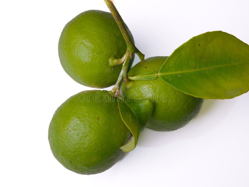 Fresh Lime with Leaves Isolated on White Background, Green Limes ...