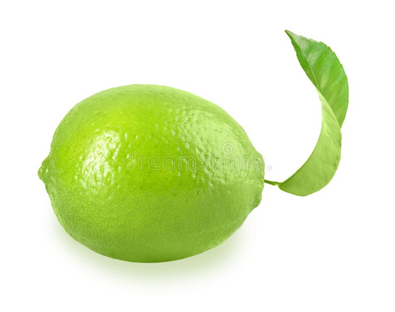 Fresh Lime with One Green Leaf Stock Image - Image of citron, succulent ...