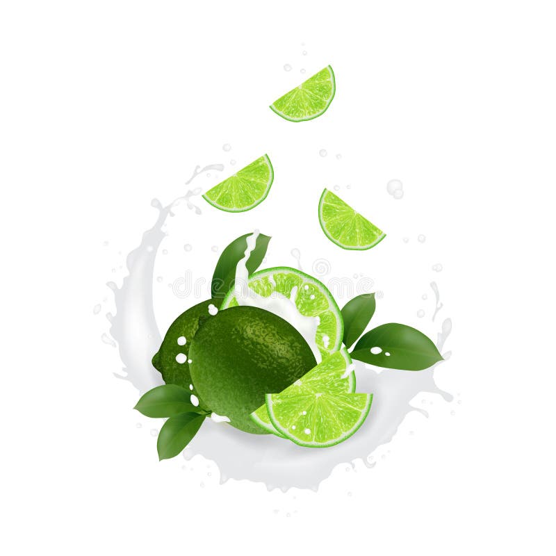 Fresh Lime with Realistic Splash Illustration. Falling Slices in Juice ...