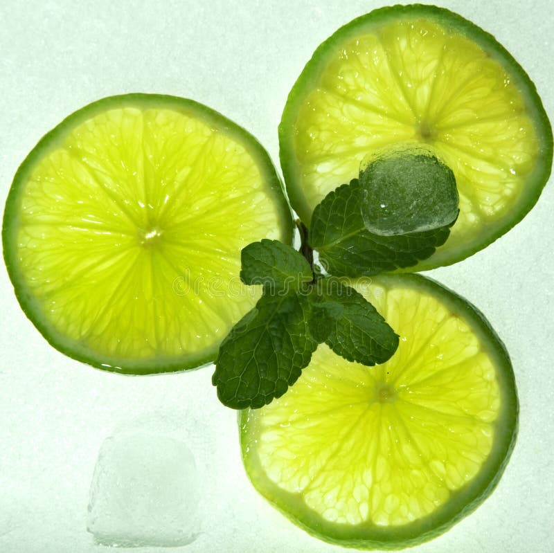 Lime segments fanned out stock photo. Image of healthy - 15692052