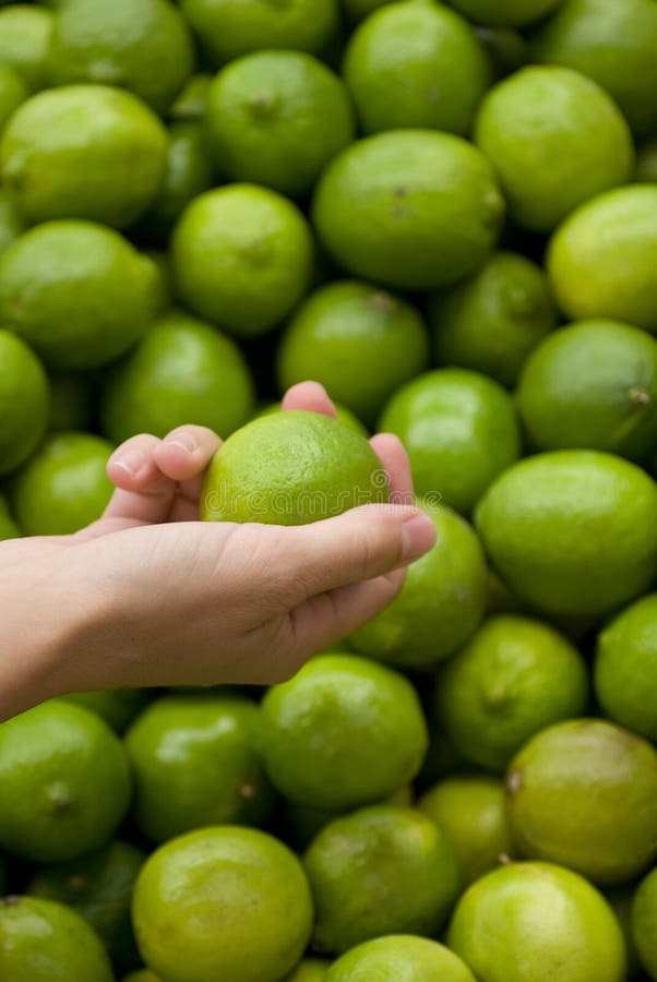 Fresh Limes stock image. Image of autumn, heap, agriculture - 10881759