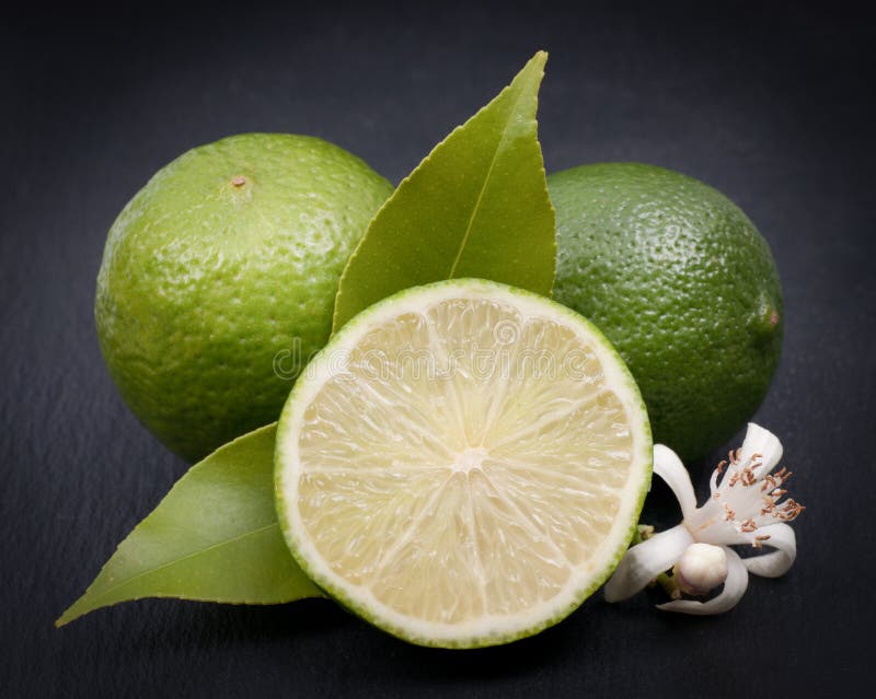 Fresh limes stock photo. Image of green, organic, fruit - 30885442
