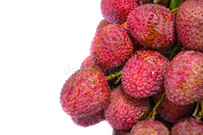 Fresh of litchi fruit stock image. Image of healthy, ingredient - 25784043