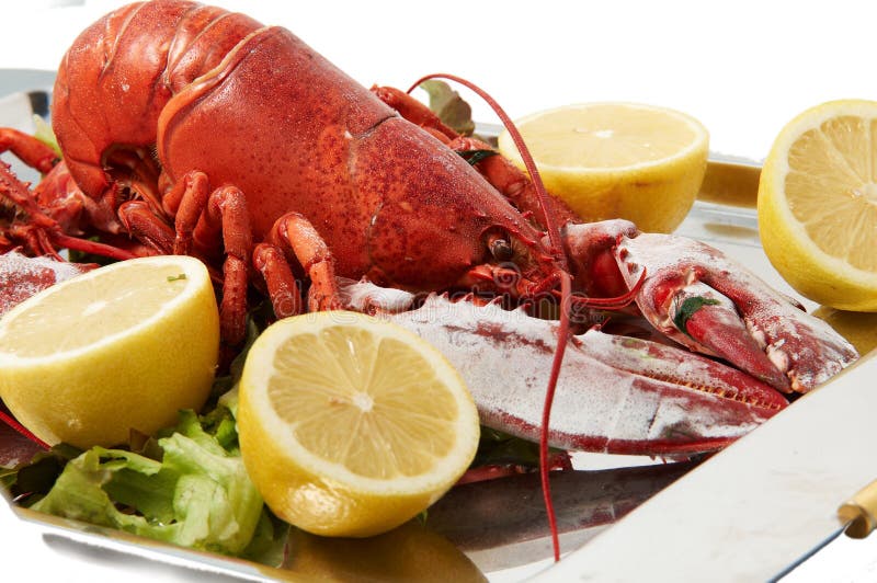 Fresh lobster . stock image. Image of boiled, outdoor - 15002407