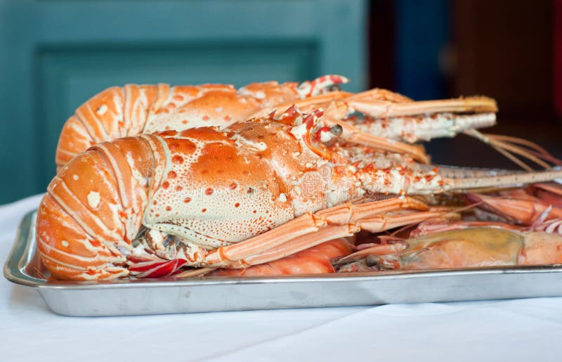Fresh lobster plate stock photo. Image of length, catch - 20908002