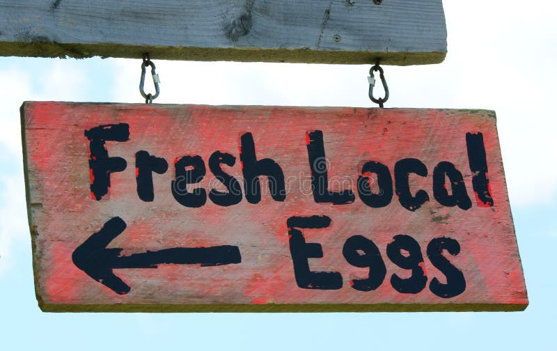 Fresh local eggs sign stock image. Image of eyelets, hand - 10159039