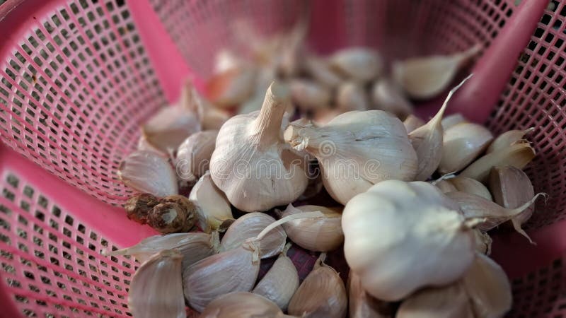 Fresh Local Garlic As a Kitchen Spice is in a Tray Stock Photo - Image ...