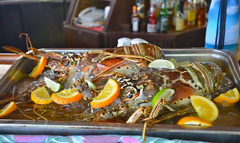 Fresh local lobster stock photo. Image of meals, customers - 23077084