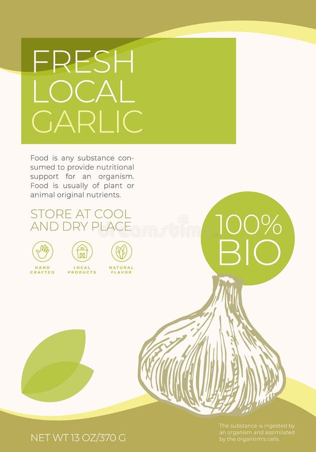 Garlic Label Template. Abstract Vector Packaging Design Layout Stock ...
