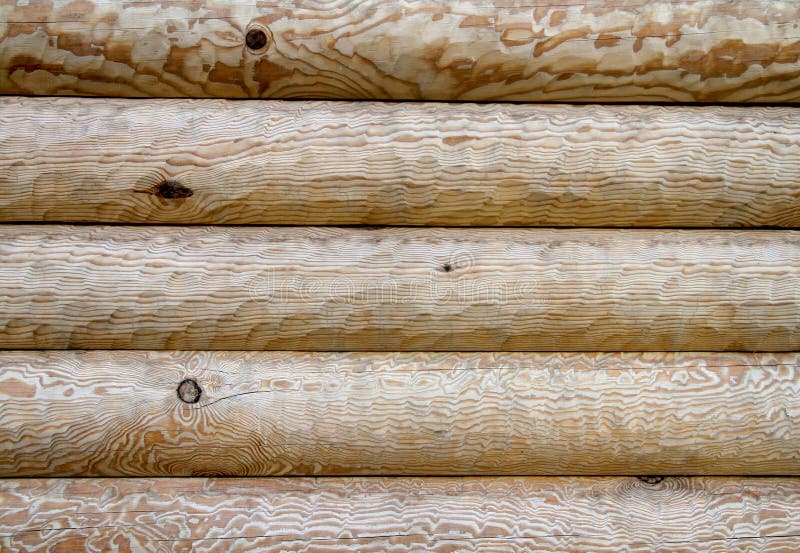 Fresh Logs. Impressive Surface of a Tree. Stock Image - Image of ...