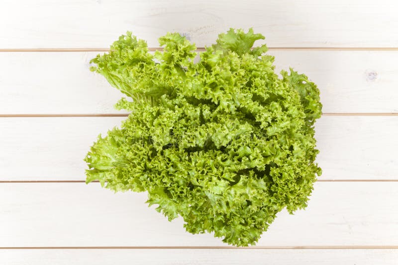 Fresh Lollo bionde lettuce stock photo. Image of curly - 15198196