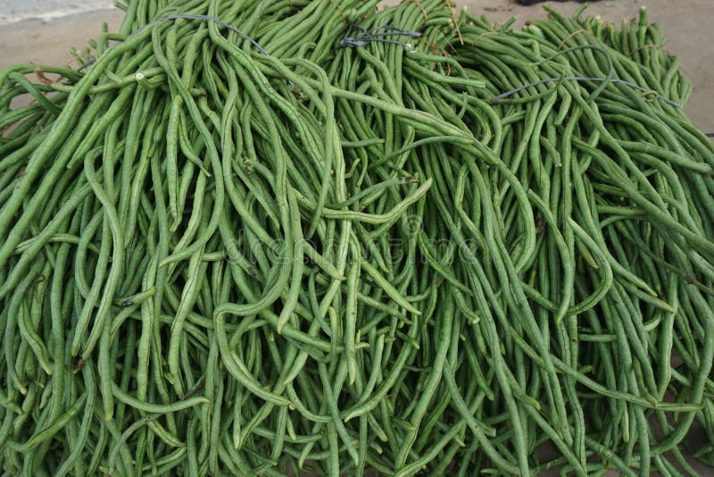 Fresh Long Beans Sold in Traditional Markets Stock Photo - Image of ...