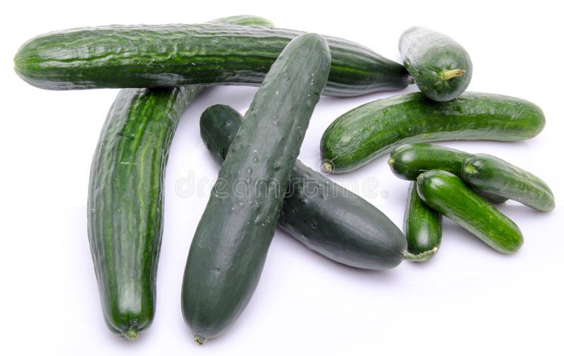 Fresh Long and Mini Cucumbers Stock Image - Image of fresh, isolated ...