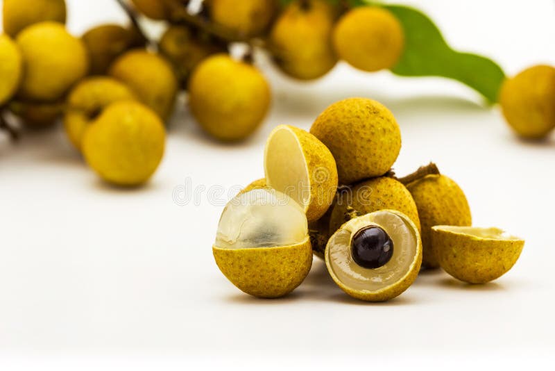 Fresh longan. stock photo. Image of agriculture, healthy - 37478856