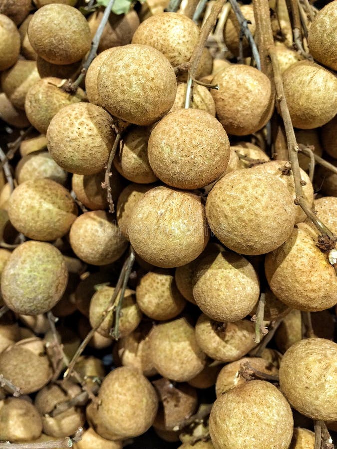 Longgan Fruit stock image. Image of sweet, east, chinese - 20838585