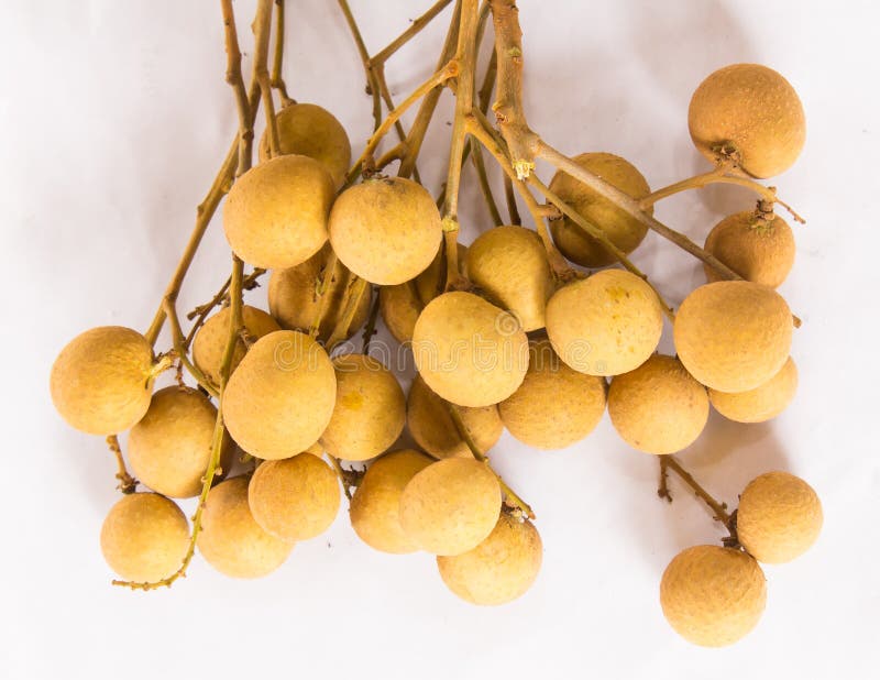 Fresh longan on a white stock photo. Image of group - 249311010