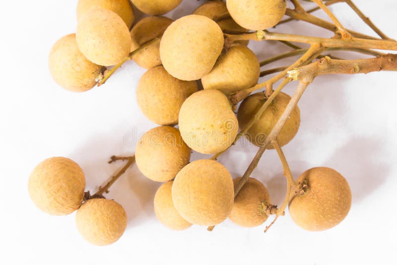 Fresh longan on a white stock image. Image of peeled - 249311011