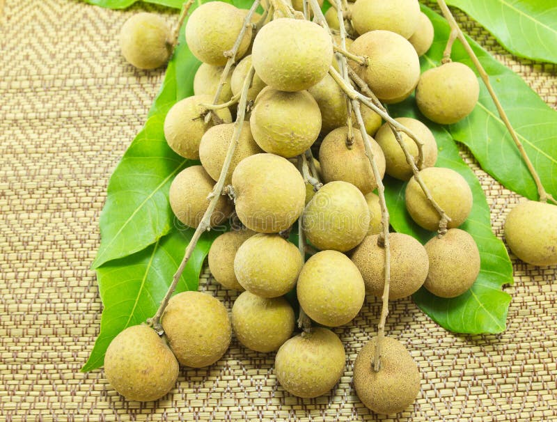 Fresh Longan ,Tropical Fruits Stock Photo - Image of healthy, fruits ...