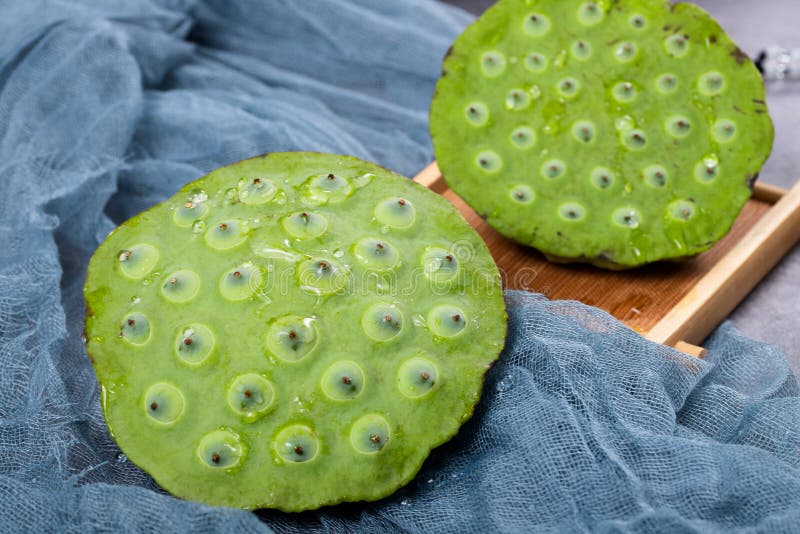 Fresh lotus seed and pod stock photo. Image of food, fresh - 40029306