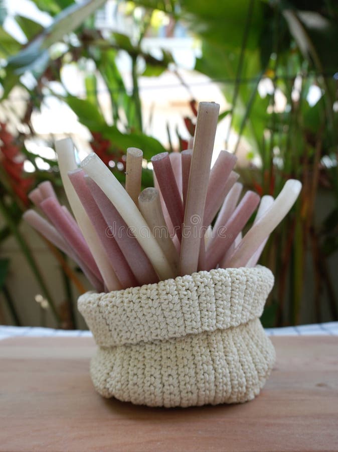 Fresh lotus stem in a sack stock image. Image of timber - 56047861