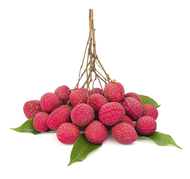 Fresh Lychee Bunch with Leaves Isolated on White Background Stock Image ...
