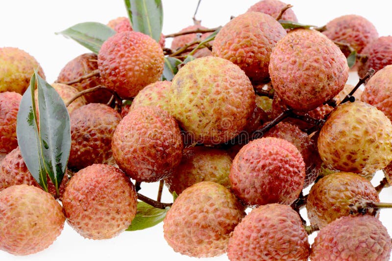 Fresh Lychee Fruits on a White Stock Image - Image of nutrition, color ...