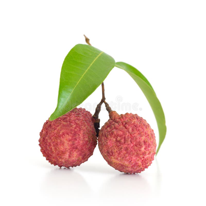 Fresh Lychee stock photo. Image of tropical, leaf, lechee - 55504892