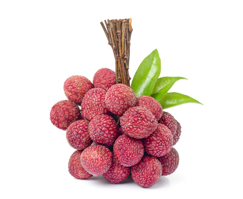 Fresh Lychee with Leaves Isolated on White Background with Clipping ...