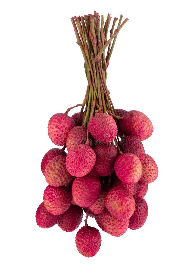 Fresh Lychee or Litchi Fruit Isolated on White Background Stock Image ...