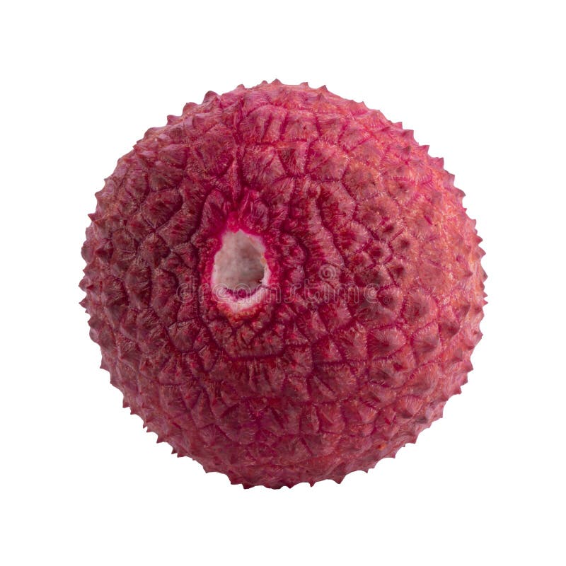 Fresh Lychee or Litchi Fruit Isolated on White Background, PNG Stock ...