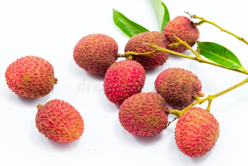 Fresh lychees fruit stock image. Image of fruits, lychees - 124843519