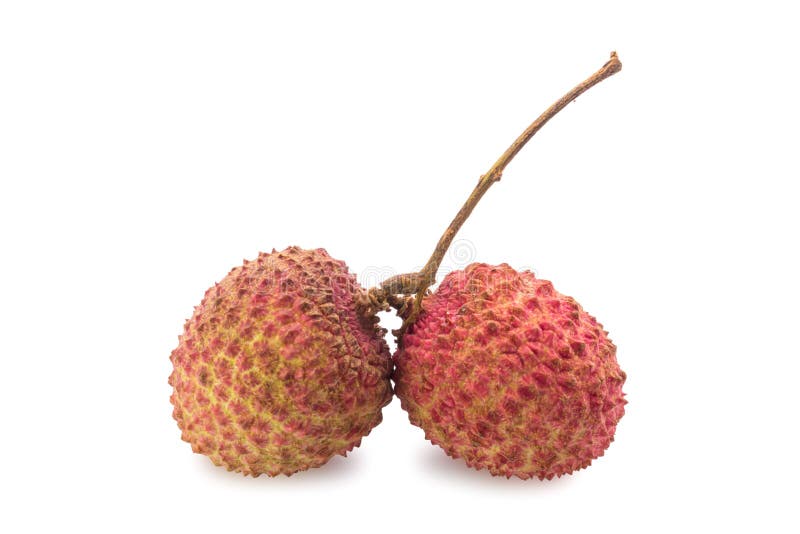 Single lychee stock image. Image of asian, juicy, white - 4569621