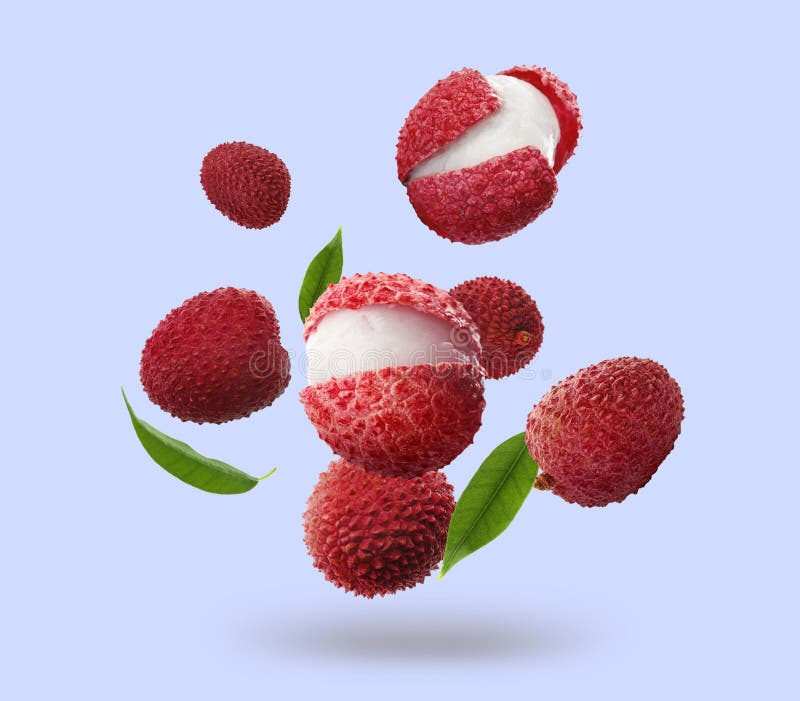 Fresh Lychees with Green Leaves Falling on Light Blue Background Stock ...