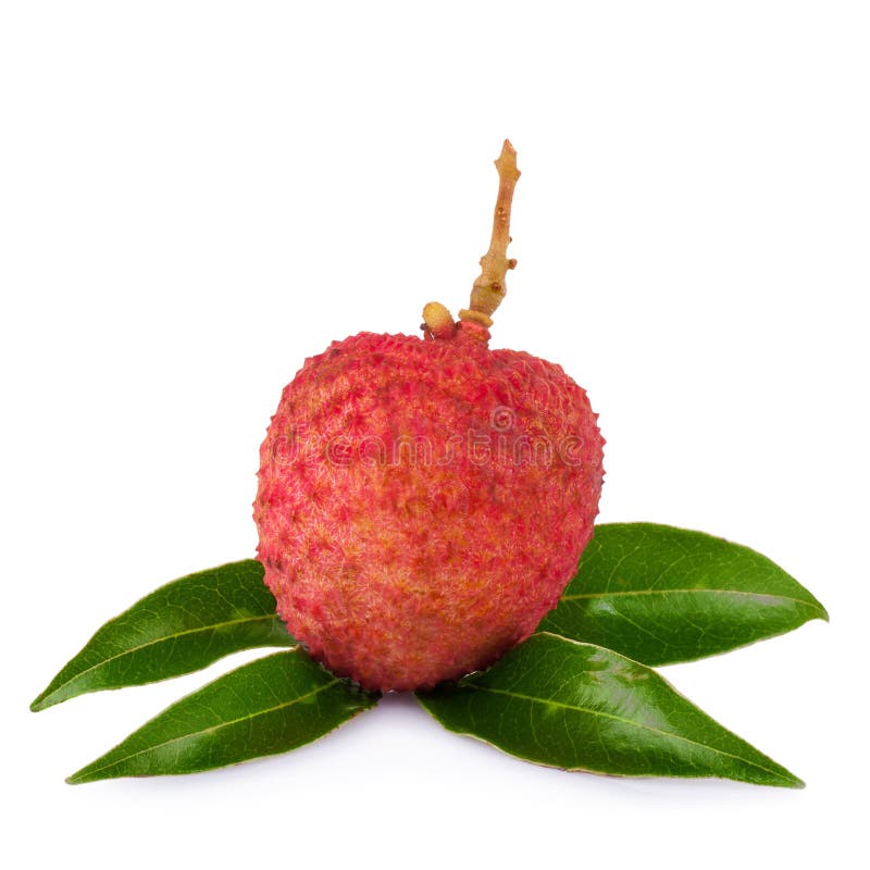Fresh Lychees Isolated on White Stock Photo - Image of antioxidant ...