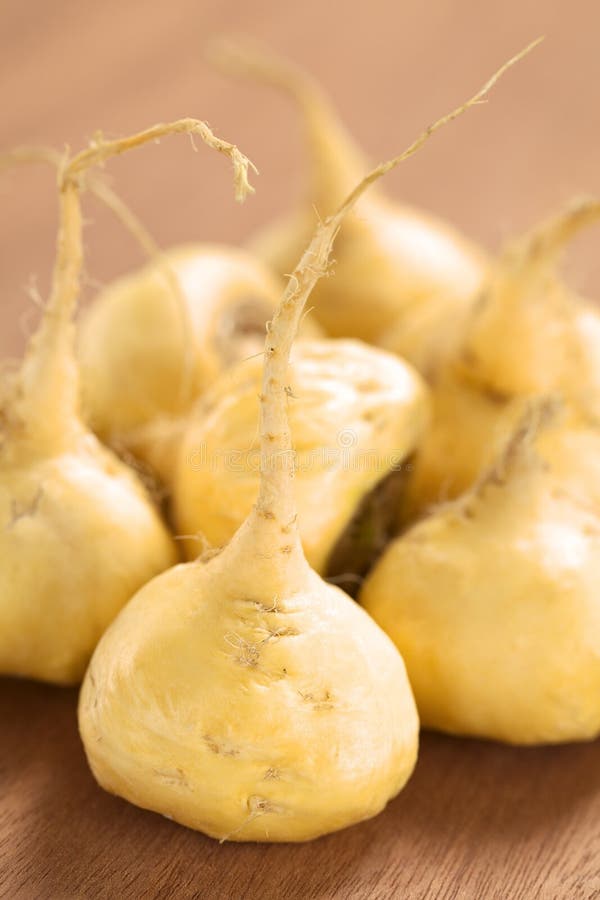 Fresh Maca Roots stock image. Image of aphrodisiac, supplement - 26438631