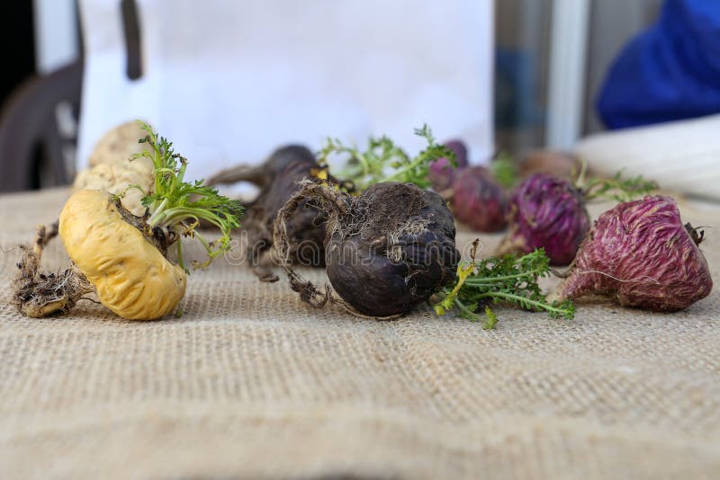 Fresh Maca Roots or Peruvian Ginseng Stock Photo - Image of healthy ...