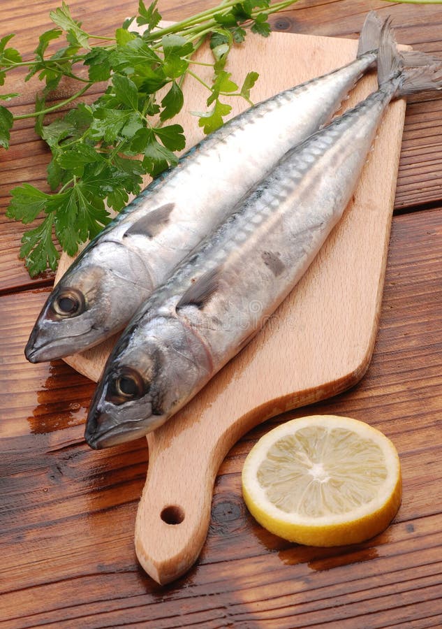 Fresh mackerel stock image. Image of omega, protein, ingredient - 29630113