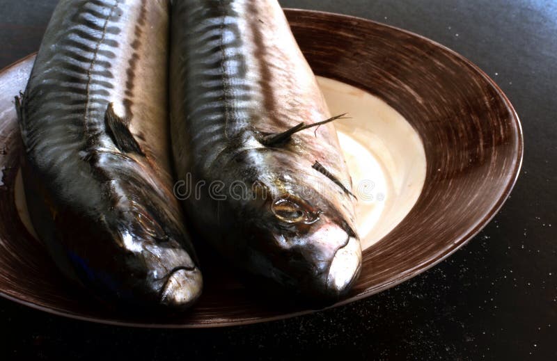 Fresh Mackerel for Cooking on a Black Background Stock Image - Image of ...
