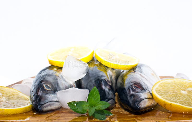 Fresh Mackerel Fish on Ice with Fresh Yellow Lemon Stock Image - Image ...