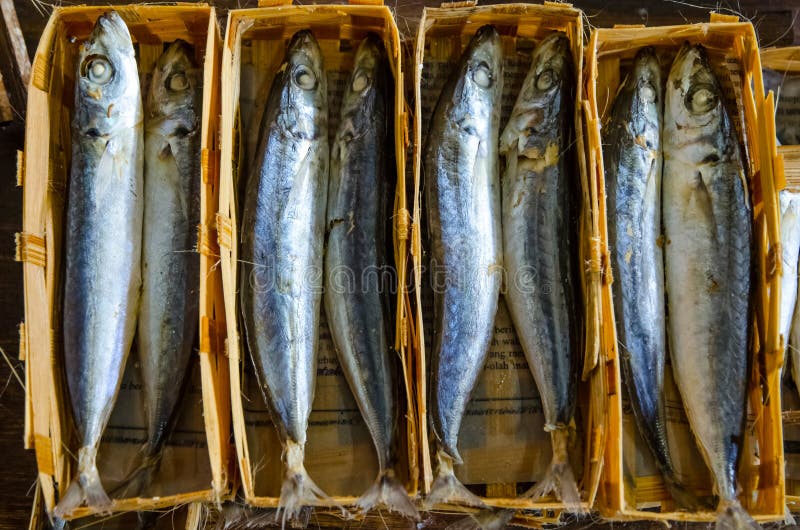 Fresh Mackerel Fish in the Market Stock Photo - Image of cook, diet ...