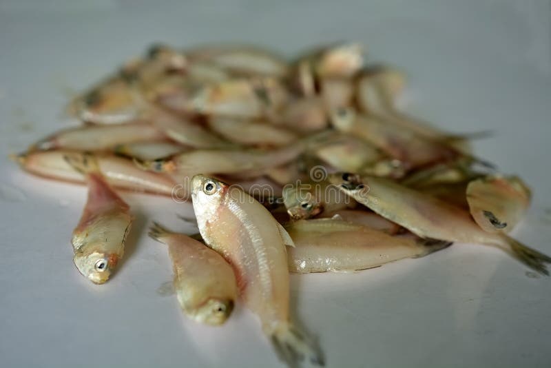 46,398 Saltwater Background Photos - Free & Royalty-Free Stock Photos ...