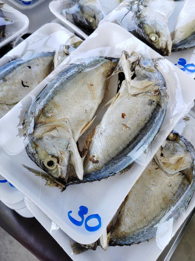 The Fresh Mackerel in a Package Stock Photo - Image of steamed, cooking ...