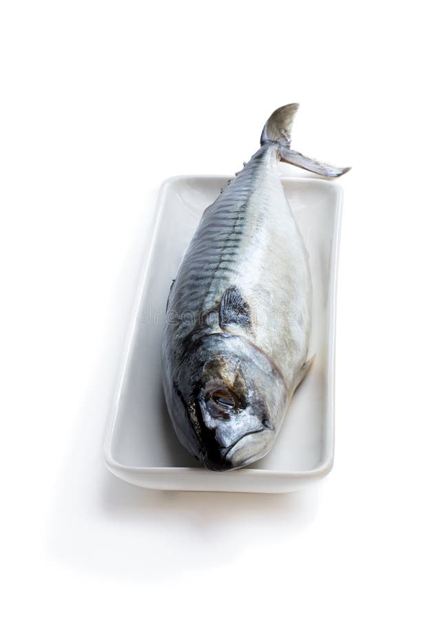 Fresh Mackerel on Serving Plate Isolated on White Stock Image - Image ...