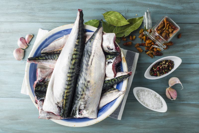 Fresh mackerel fish stock photo. Image of diet, fish, head - 9499674
