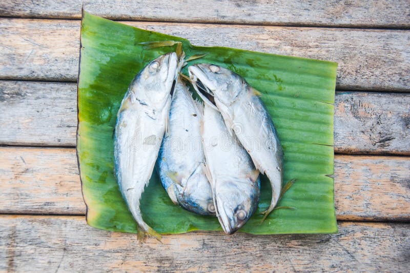 186 Fresh Mackerel Tuna Steamed Fish Stock Photos - Free & Royalty-Free ...