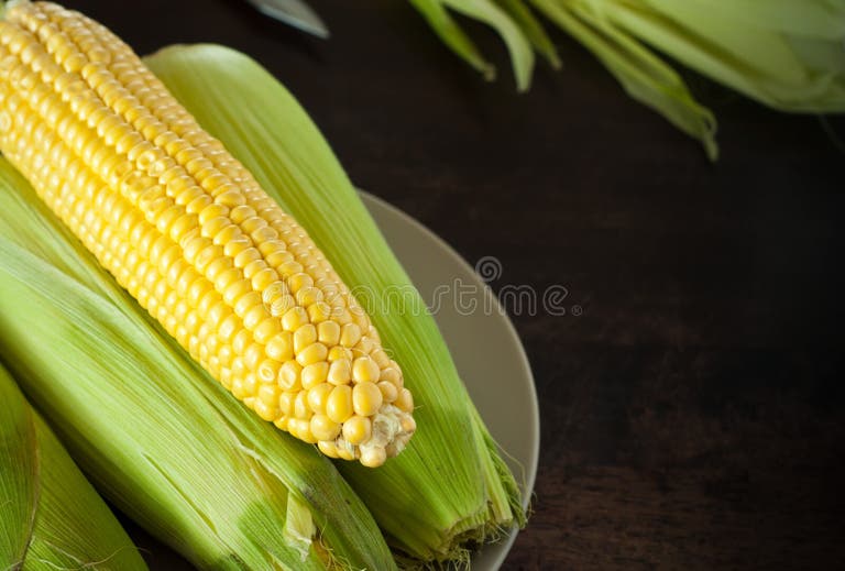 Fresh Maize stock image. Image of diet, ingredient, appetizing - 33961947