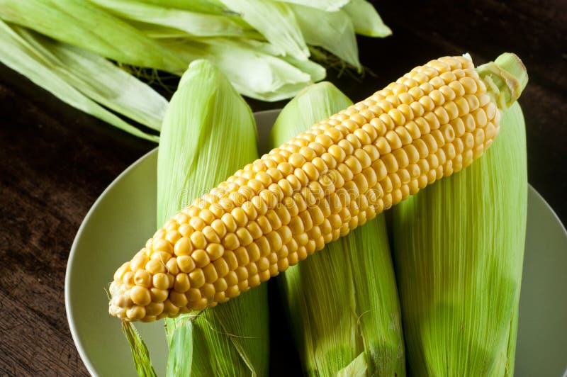 Fresh Maize stock image. Image of cornmeal, cereal, flake - 33961991