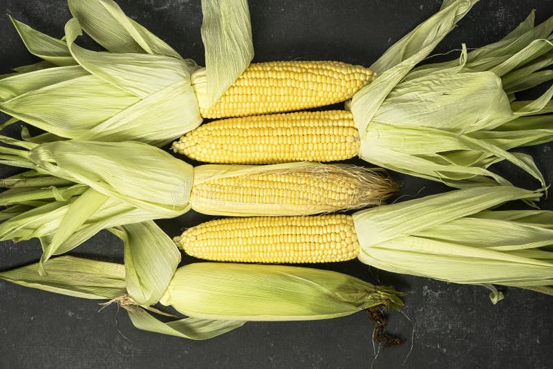Fresh Maize Corn, Close Up, on Dark Background , Top View Stock Image ...