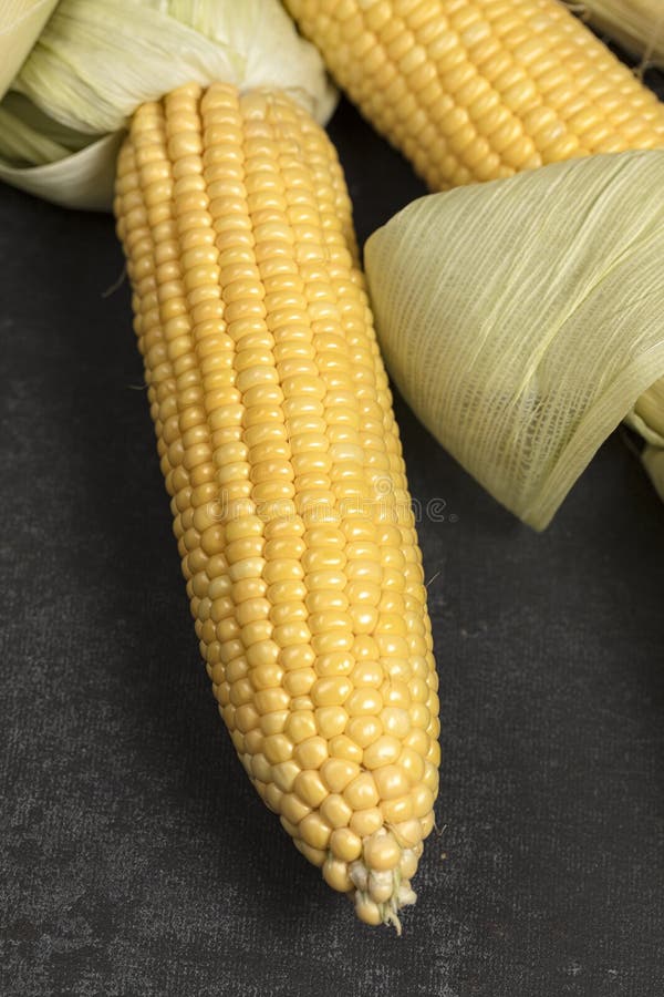 Fresh Maize Corn, Close Up, on Dark Background , Vertical Composition ...